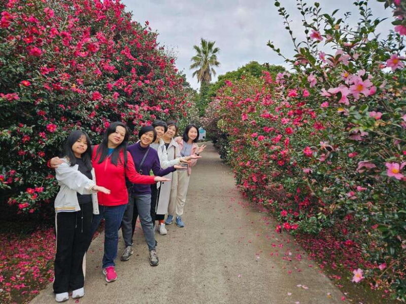 Jeju Unesco Customize Private Guided Tour with a Local Guide - Highlights of the Tour
