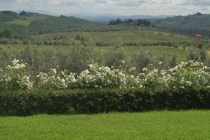 Journey through Italian Cheese - Why This Tour Stands Out
