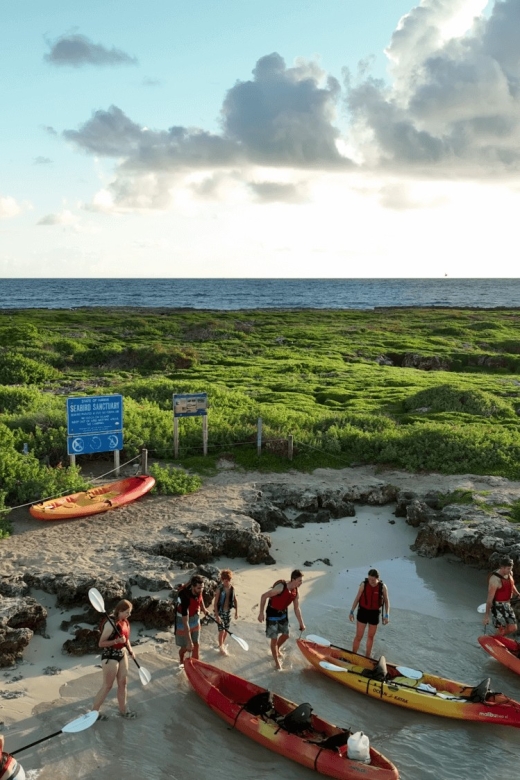Kailua, Oahu: Popoia Island & Kailua Bay Guided Kayak Tour - The Full Day Experience: More Than Just Paddling