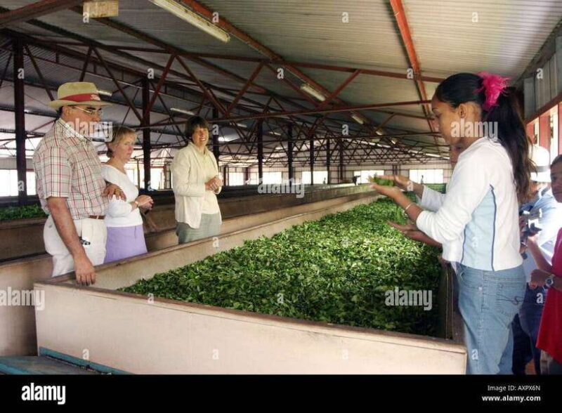 Kandy City Explore Full Day Tour , Like a Local - The Travel and Logistics