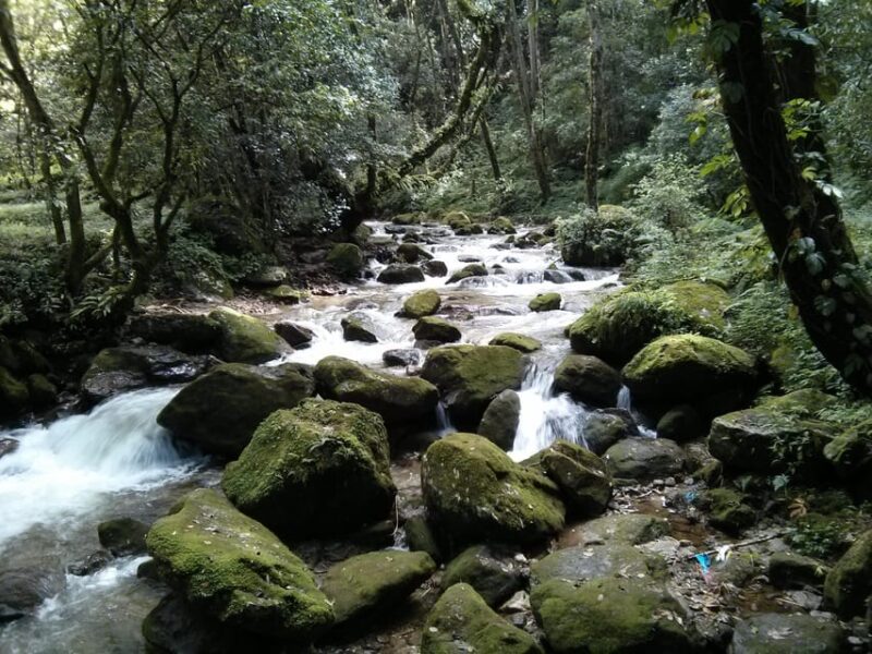 Kathmandu : 2 Night 3 Days Chisapani Nagarkot Trek Kathmandu - Authentic Experiences and Tips