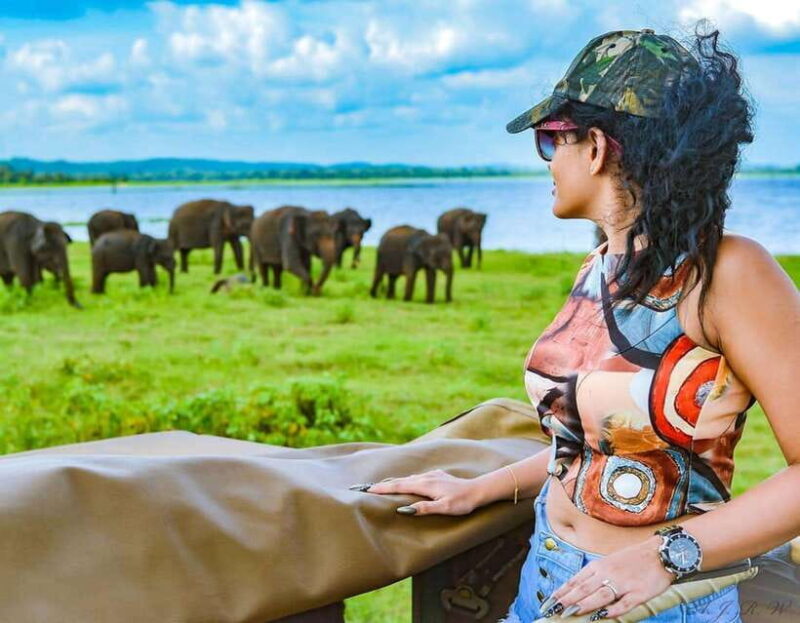 Kaudulla National Park: Wildlife Elephant Safari - Who Should Consider This Safari?