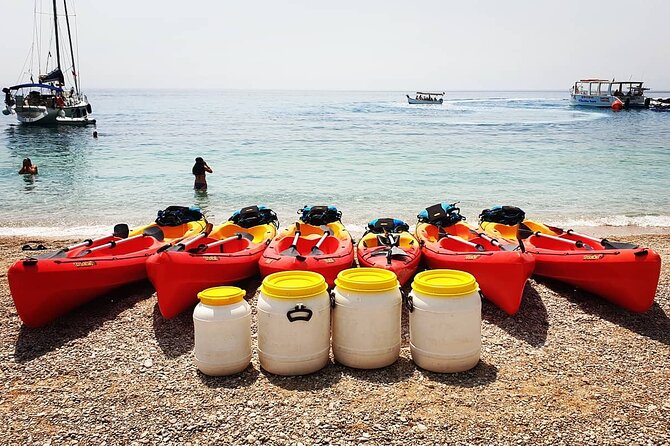 Kayak day in the coastline - FAQ