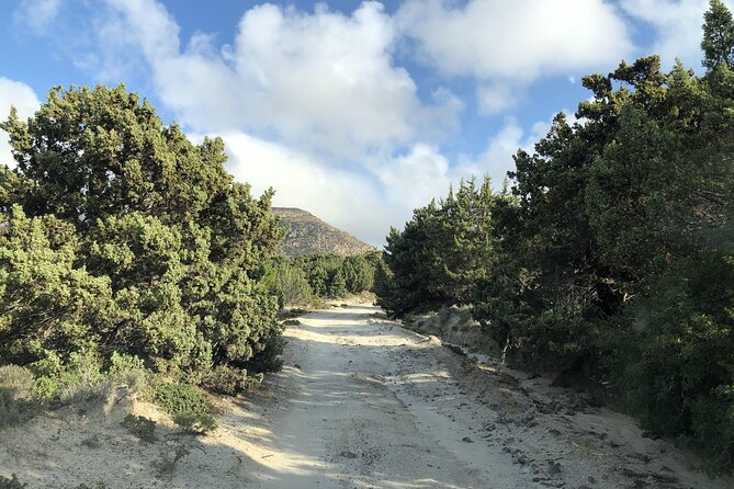 KGS02.Off the Beaten Track Tour in Kefalos & Cavo Paradiso - What Travelers Say