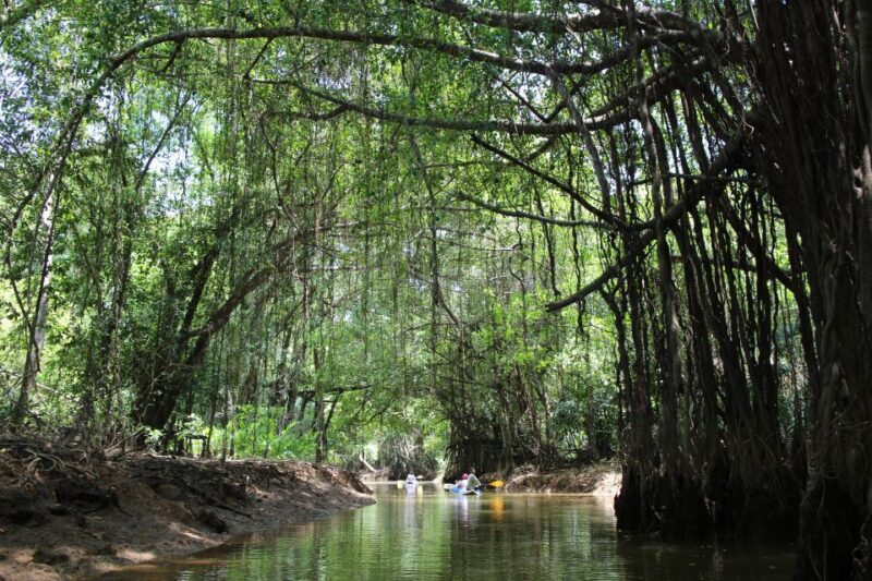 Khao Lak: Sri Phang Nga Canoe and Tam Nang Waterfall Tour - Practical Tips for Travelers