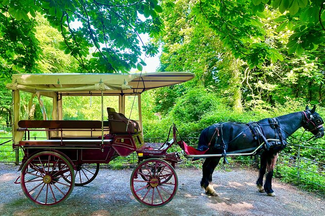 Killarney Jaunting Car Tour - Who is This Tour Best For?