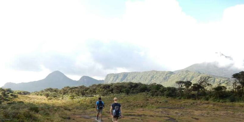 Knuckles Leopard trail Trek from Kandy - Who Is This Tour Best For?