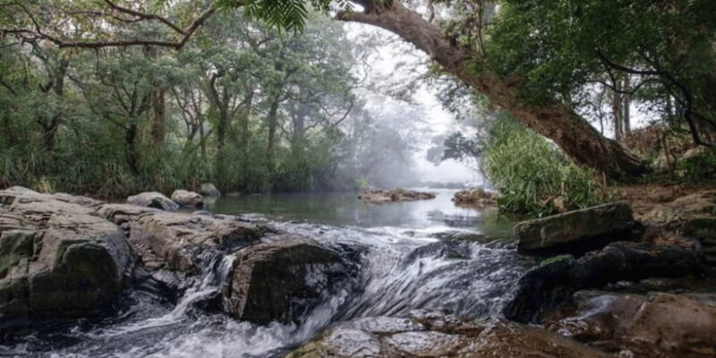 Knuckles Wilderness Waterfall Trek:Comprehensive Adventure - Cost and Value