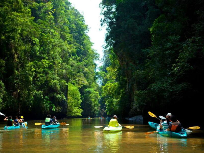 Ko Lanta: Mangrove Forest Kayak & Wildlife Adventure - What’s Included and What’s Not