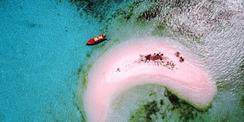 Komodo Islands: 2D1N Speedboat Tour, Land Tour & Hotel Stay - What Makes This Tour Stand Out