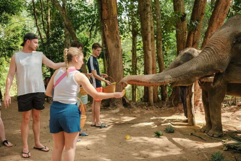 Krabi: Elephant Sanctuary (near Ao Nang) Visit - The Itinerary in Detail
