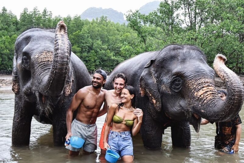 Krabi: Highlights Tour with Krabi Elephant Shelter - The Ethical Edge