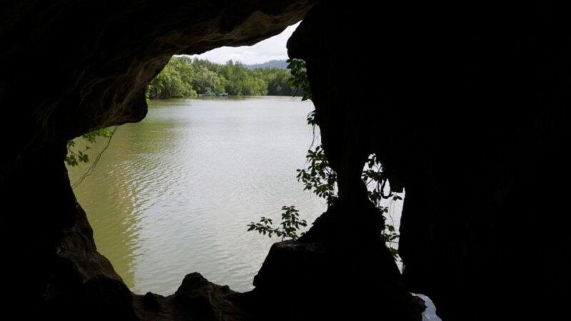 Krabi: Mangrove Magic & Koh Klang Charm by Longtail Boat - The Culinary Experience and Other Inclusions