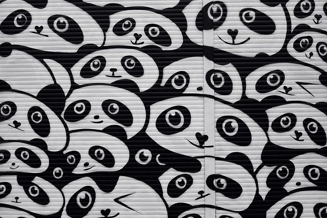 Kreuzberg Private Walking Tour: Immigrants, Artists & Hipsters - The Practical Side: What to Expect