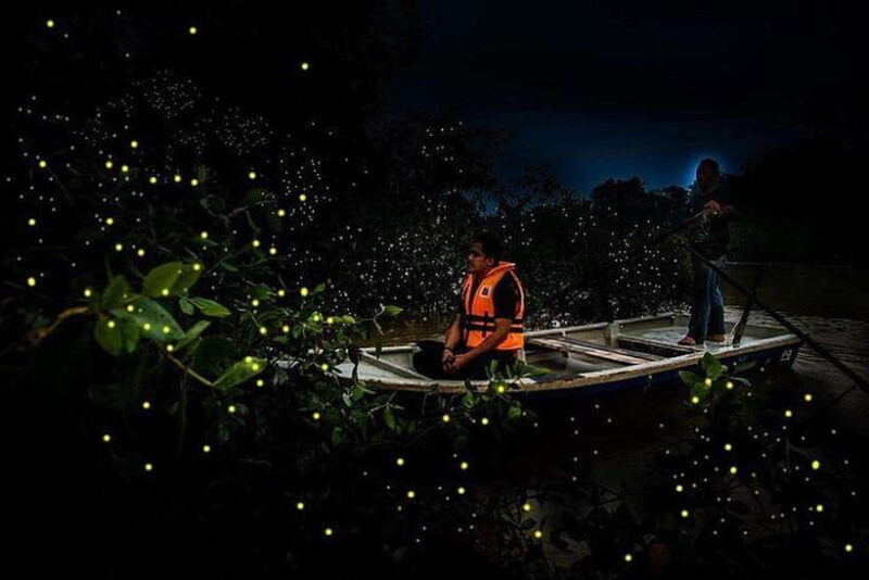 Kuala Lumpur: Fireflies Tour with Dinner and Hotel Pickup - Practical Considerations and Value