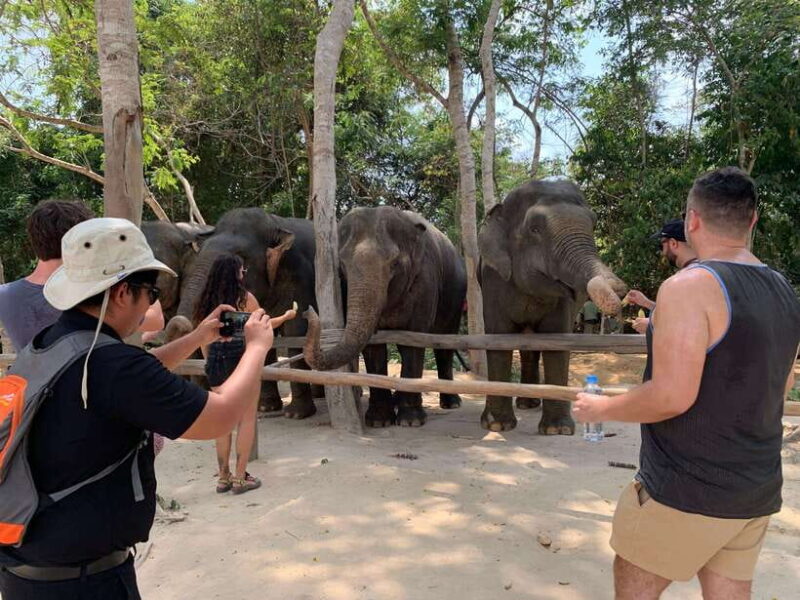 Kulen Elephant Forest & Tonlesap Lake Include boat /Transfer - What’s Included and What’s Not