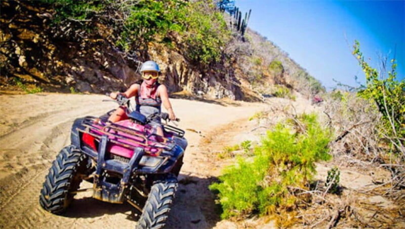 Kundasang : ATV Ride, Dairy Farm Visit & Meal Shared Tour - The Experience: Weighing the Pros and Cons