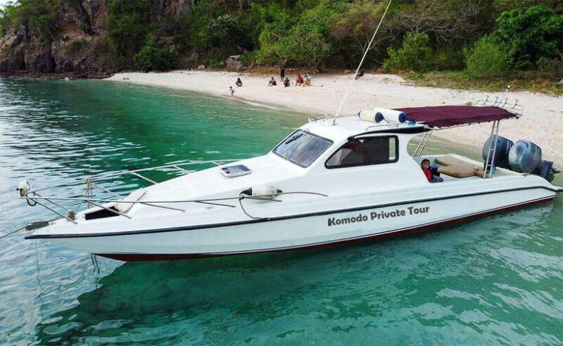 Labuan Bajo: Komodo Private Day Trip with Snorkeling - Komodo Dragon Encounters