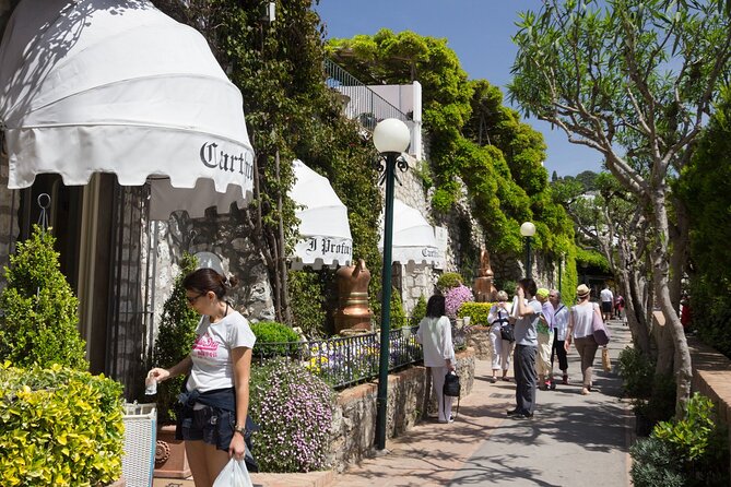 Land and Sea Small Group Capri Island Tour from Naples Main Port - What’s Included and What’s Not
