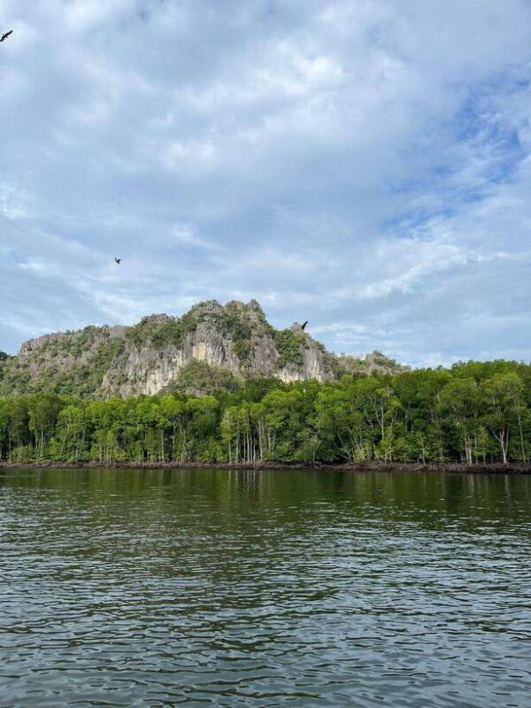 Langkawi: Half-Day Private Kilim River Mangrove Boat Tour - Who Will Love This Tour?