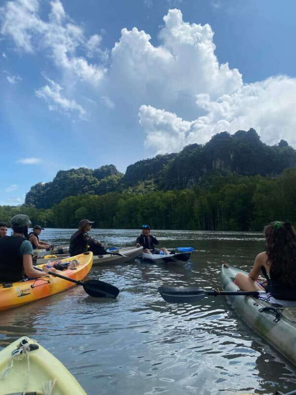 Langkawi: Kilim Karst Mangrove Kayak Adventure - What To Expect Throughout the Tour