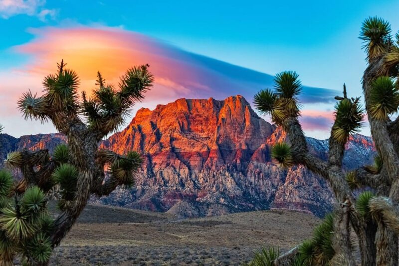 Las Vegas: Private Red Rock Canyon Guided Driving Adventure - How Good Is the Value?