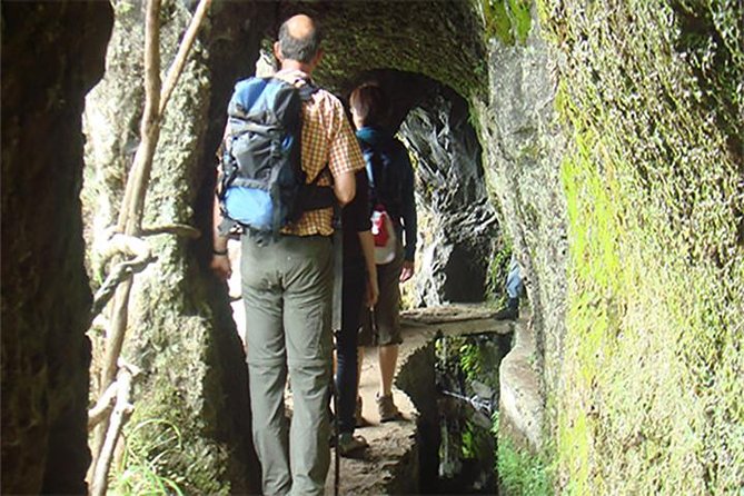 Laurissilva Forest Walk - The Sum Up: Why This Tour Is a Solid Pick