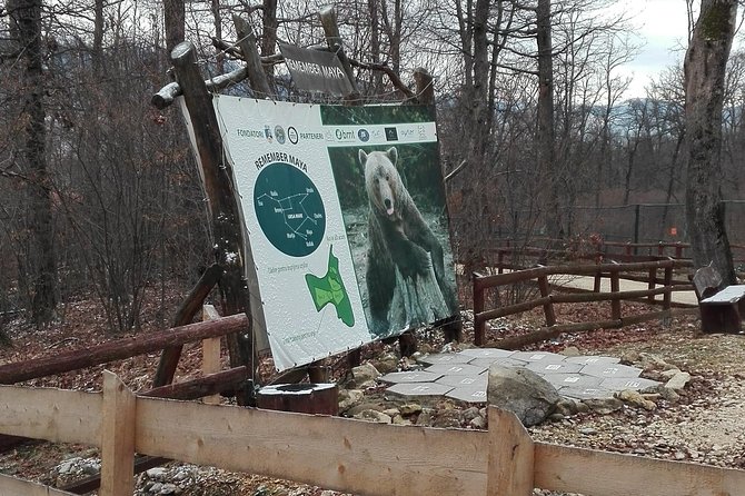 LiBEARty - the Brown Bear Sanctuary from Zarnesti - Frequently Asked Questions