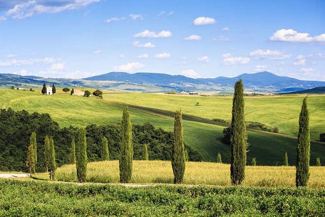 Livorno shore excursion: Bolgheri and Supertuscan private tour - The Sum Up