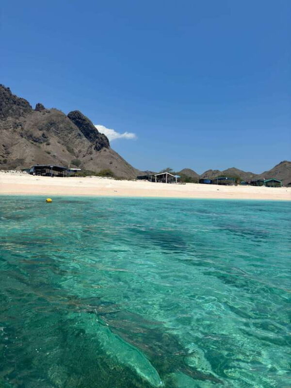 Lombok: 4-Day Sea Nomad Adventure to Labuan Bajo - Day 2: Swimming with Whale Sharks & Savana Bay
