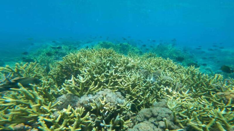 Lombok: Exotic Beach And Beautiful Snorkeling - Who Should Consider This Tour?