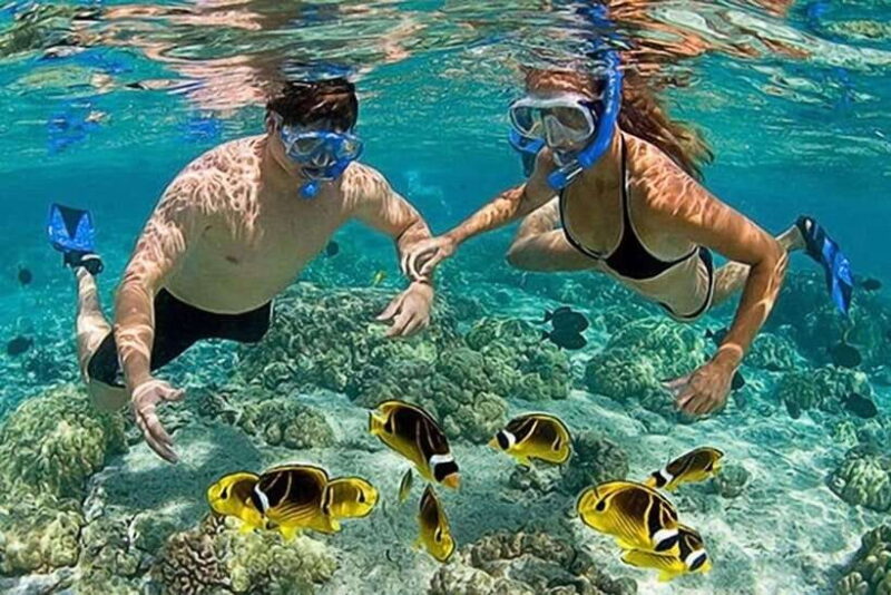 Lombok: Gili Kondo, Petagan, dan kapal Snorkeling Tour - The Value Proposition