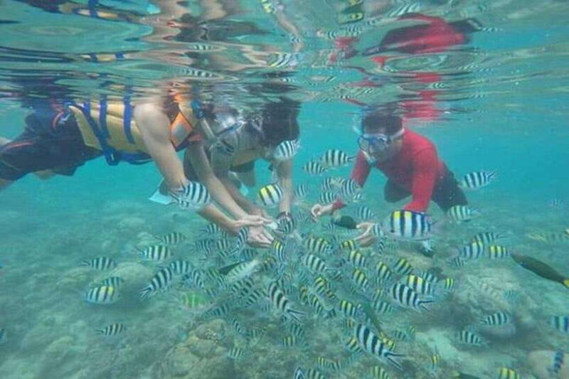 Lombok: Gili Nanggu, Tangkong, Sudak, and Kedis Islands Tour - The Practicalities
