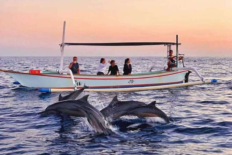 Lovina : Lovina Dolphin tour and Lovina Snorkeling reef - Practical Details & Tips for Travelers