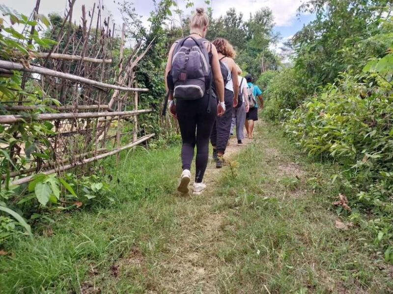 Luang Prabang: Hiking Off the Beaten Track with Picnic Lunch - What to Expect in Terms of Logistics, Cost, and Comfort