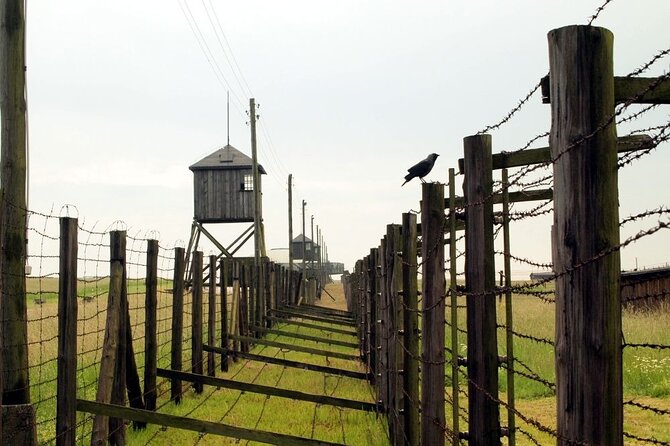 Lublin and Majdanek Small Group Tour from Warsaw with Lunch - Considerations and Potential Drawbacks