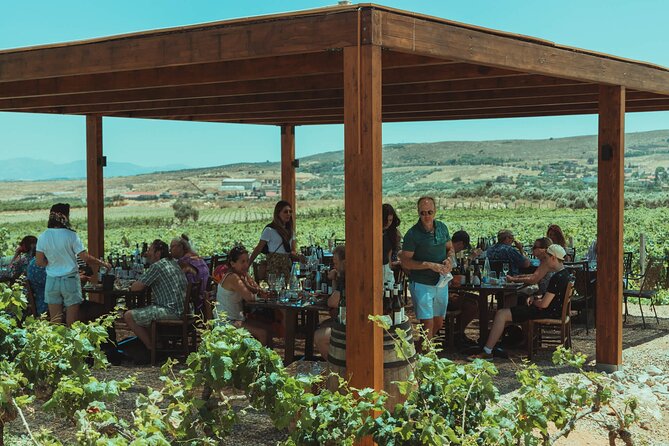 LUXURY PRIVATE Wine Tasting in CRETE (also for CRUISE SHIPS) - FAQs