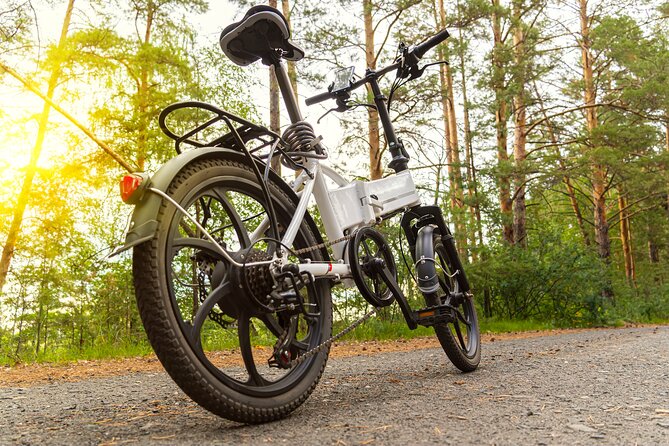 Madrid Central and Retiro Park E-bike Tour - The Sum Up