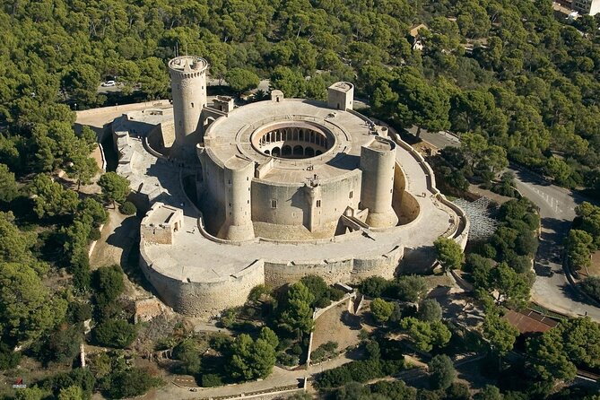 Mallorca Shore Excursion Bellver Castle and Cathedral Private Tour - Who Will Love This Tour?