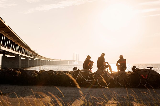 Malmö & Lund Tour, Crossing the Øresund Bridge to Sweden - Who Will Love This Tour?