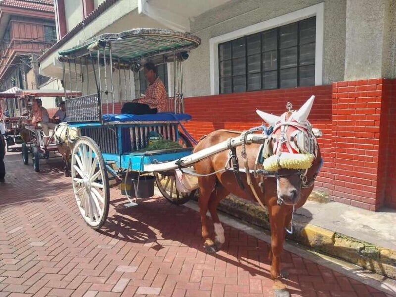 Manila: Intramuros and Chinatown Food Tour with Food Samples - Audience Fit: Who Will Love This Tour?