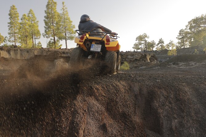Masca Valley Guided Buggy Tour. Small Group. - FAQ
