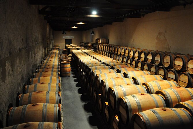 Medoc Region Wine Day Trip with Vineyard Visits & Tastings from Bordeaux - Frequently Asked Questions