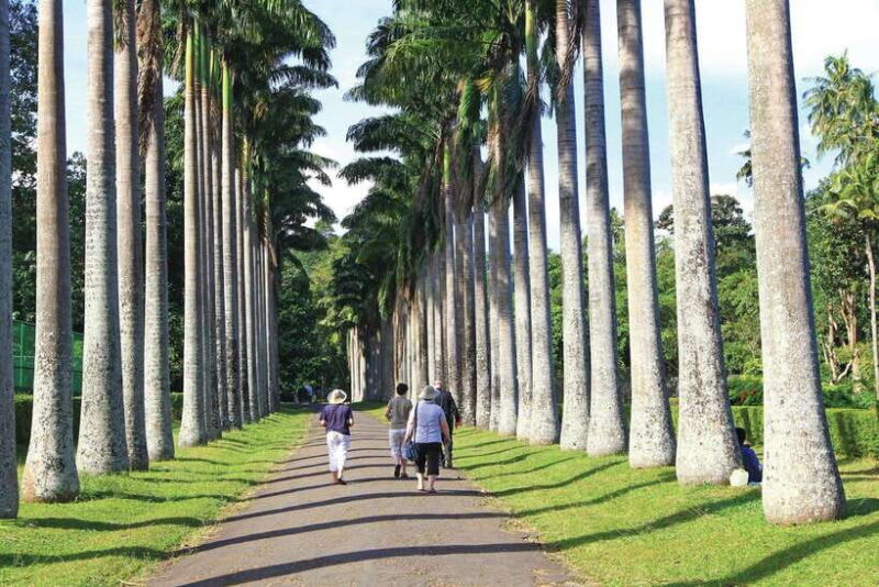 Memorable Tuk Tuk City Tour of Kandy - Nature, Gardens, and Local Artisans