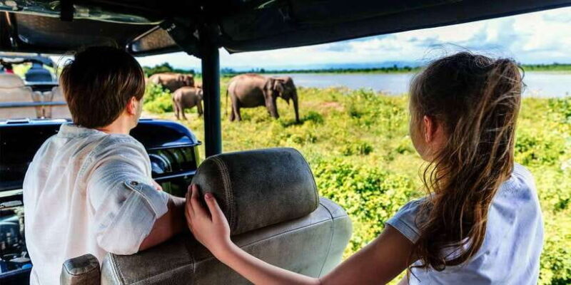 Minneriya National Park Safari in a 4x4 - The Sum Up: Who Should Consider This Safari?