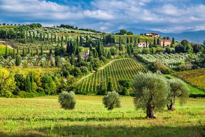 Montecarlo and Wine Tasting from Lucca Private Tour - Final Thoughts