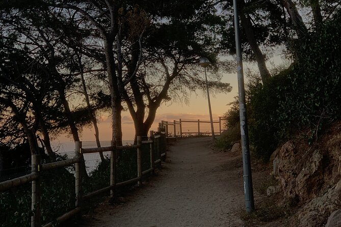 Montjuïc Magic: Hidden Pathways, Vermut Delights & Sunset Bliss - Montjuïc Castle & Surroundings: A Glimpse into History