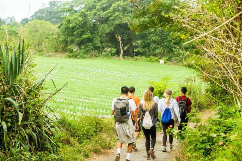 Mount Batur: 2D1N Kintamani Tour with Private Sunrise Hiking - What to Keep in Mind