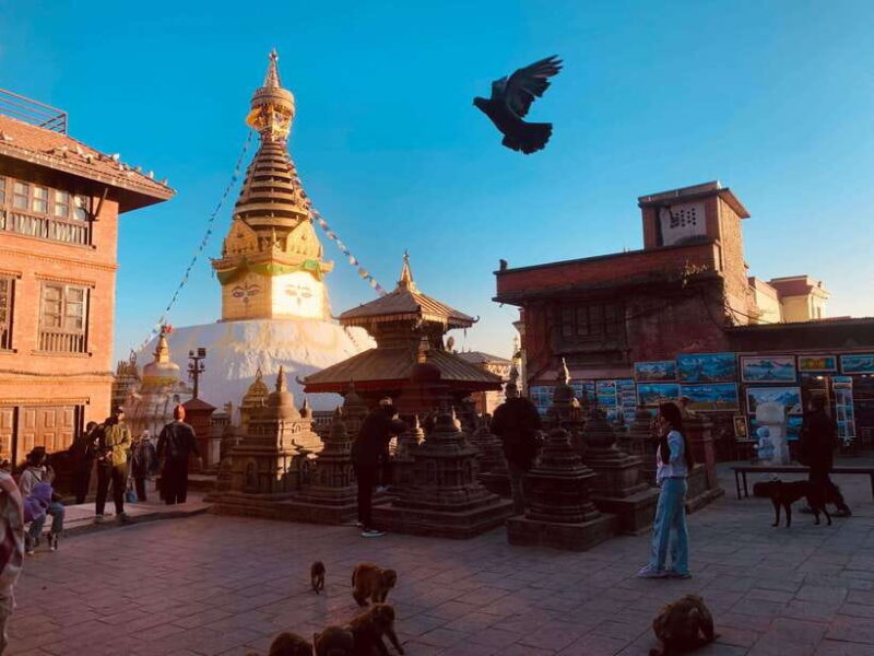 Nagarkot Sunrise With 7 UNESCO World Heritage Private Tour - What Travelers Say: Authentic Experiences and High Praise
