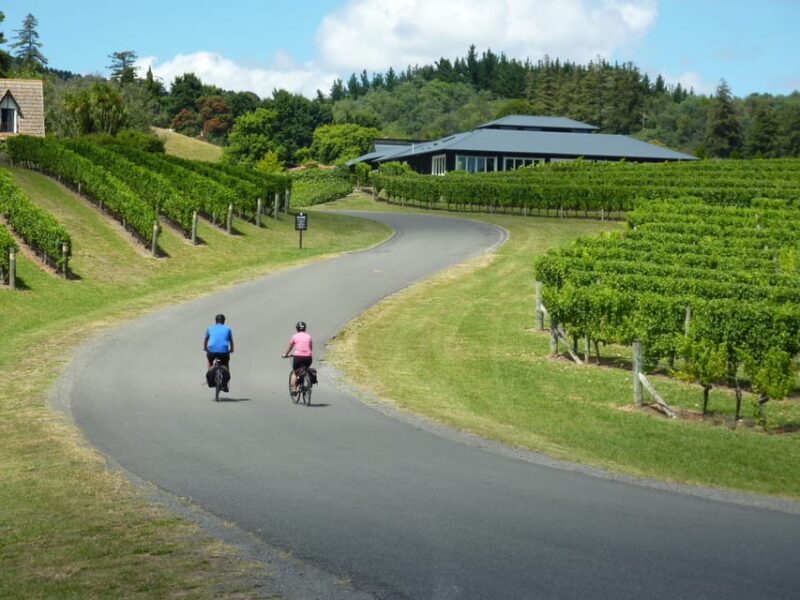 Napier: Cape Coast Winery Tour on Pedal or E-Bikes - Final Thoughts
